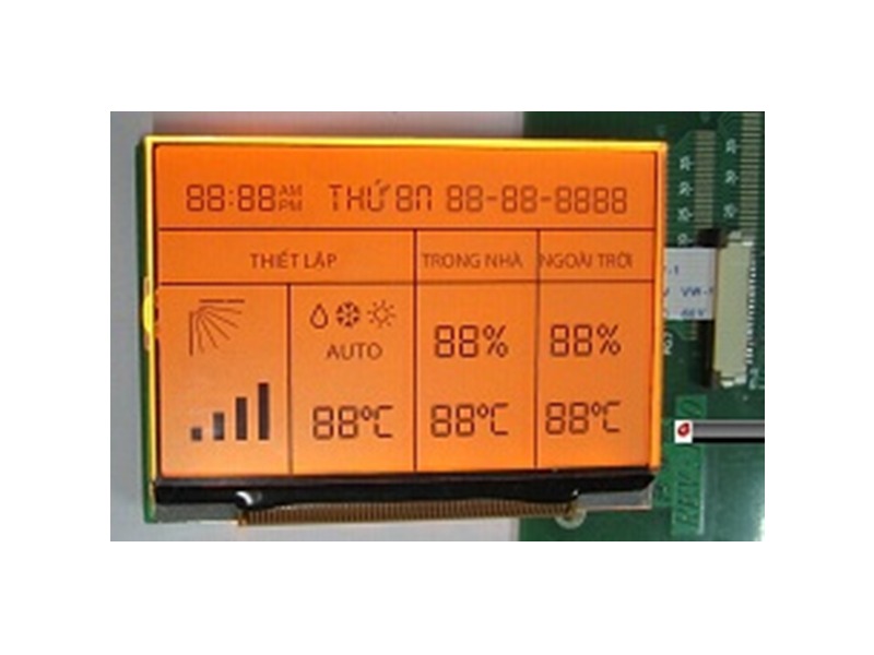 Customized LCD Display